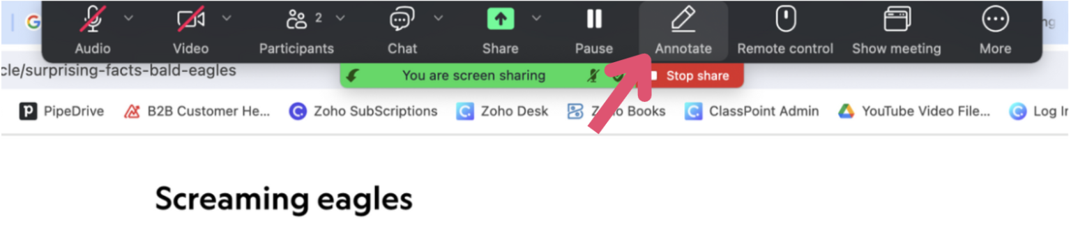 How To Annotate On Zoom: Tips For Interactive Meetings | ClassPoint